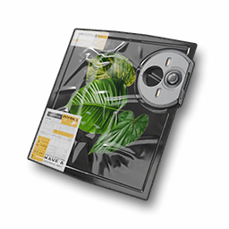 GFL2 HELP - Springfield